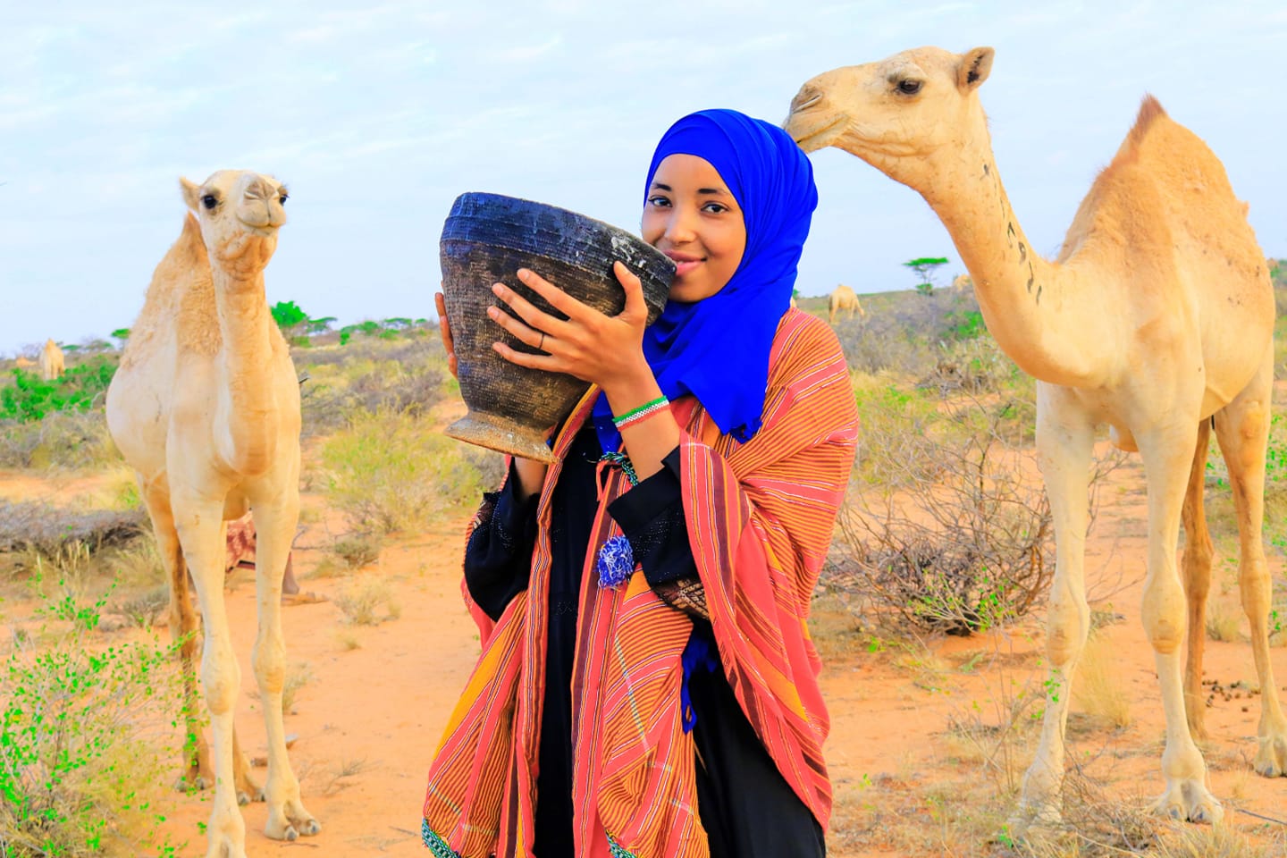 Ismahan Araweelo - Hoygamaansada